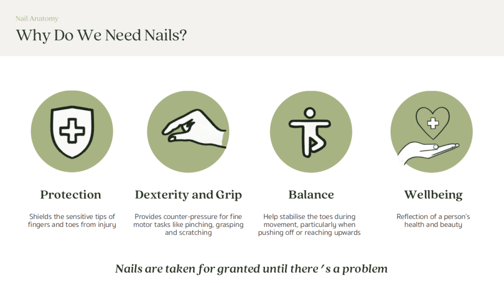 Why Do We Need Nails? - Polybalm